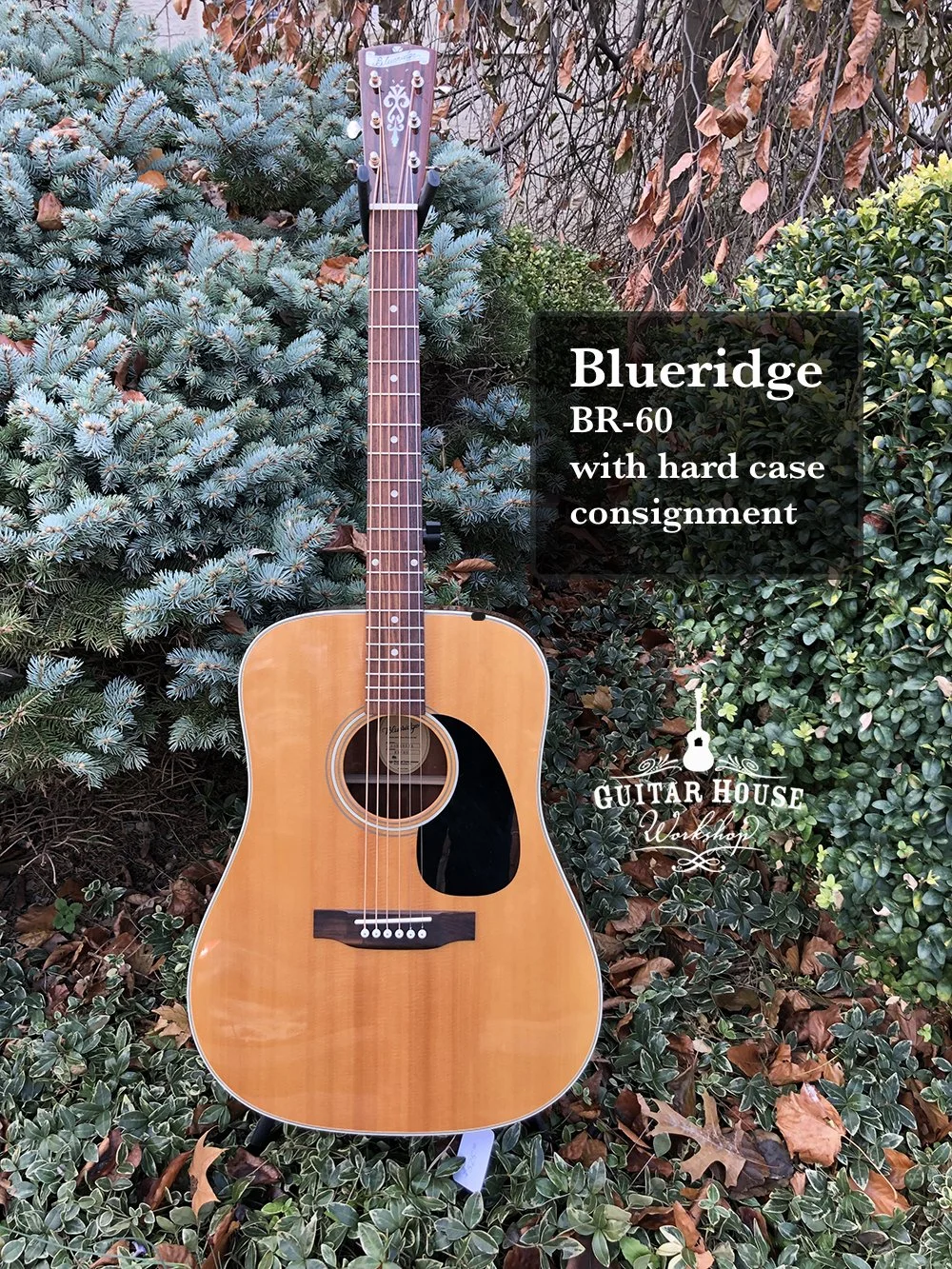 Acoustic Guitars — Guitar House Workshop