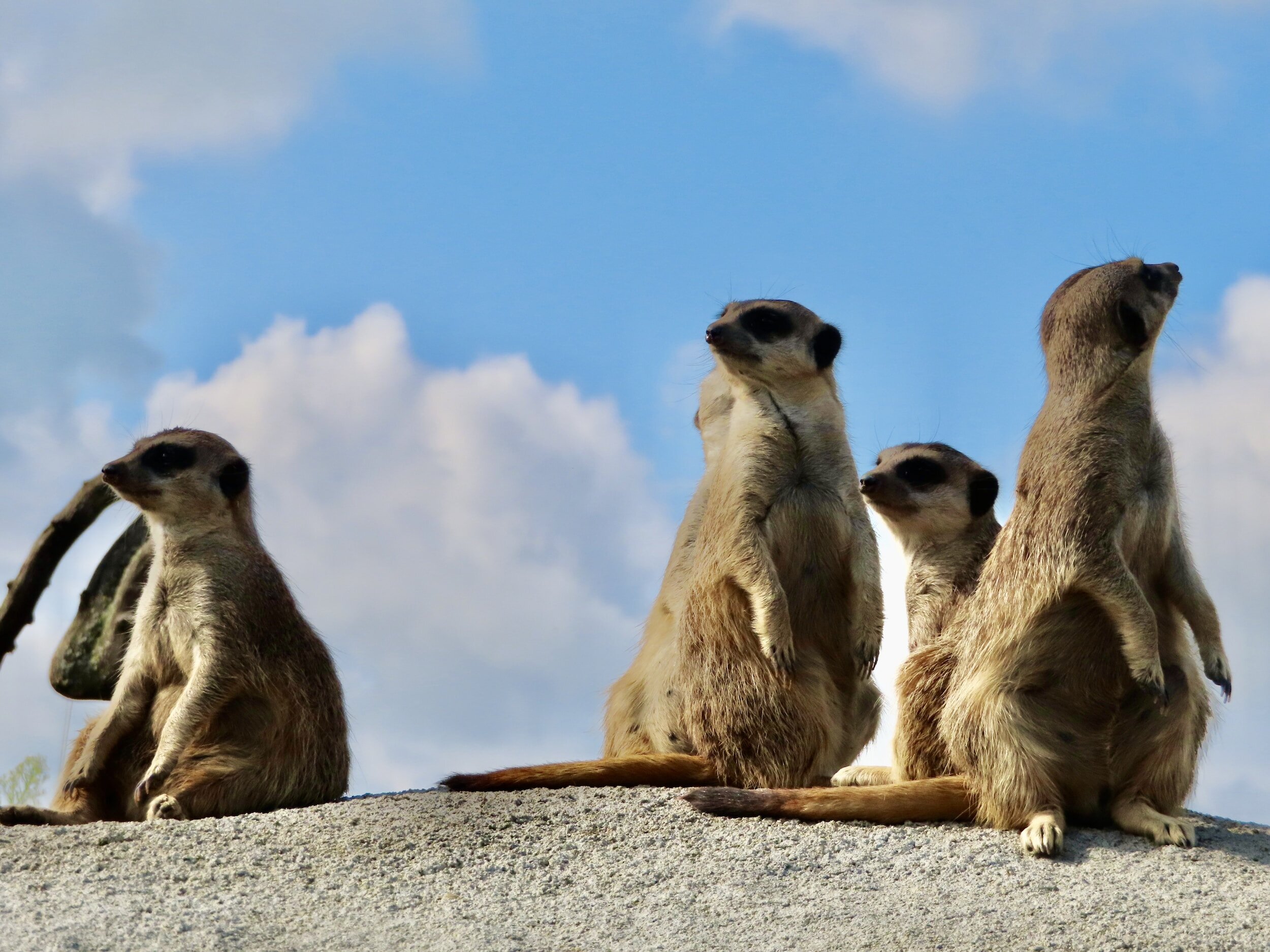 Mastering Your Attention Strategies To Avoid Context Switching And