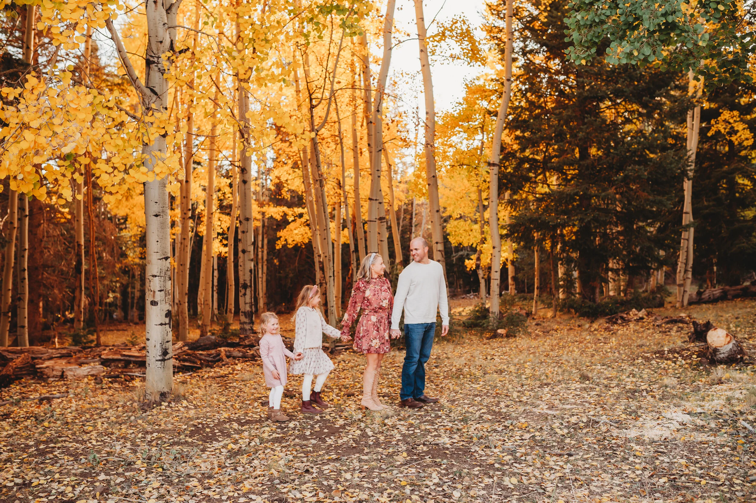 Fall Family Photos Flagstaff Greer Arizona — Light And Pine Photography