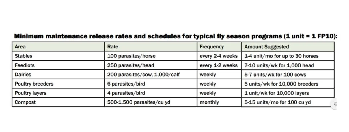 Fly Parasites (Bi-Weekly Shipping) — Biocultivation