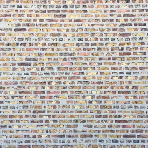 Brick of Chicago — Chicago Common Brick