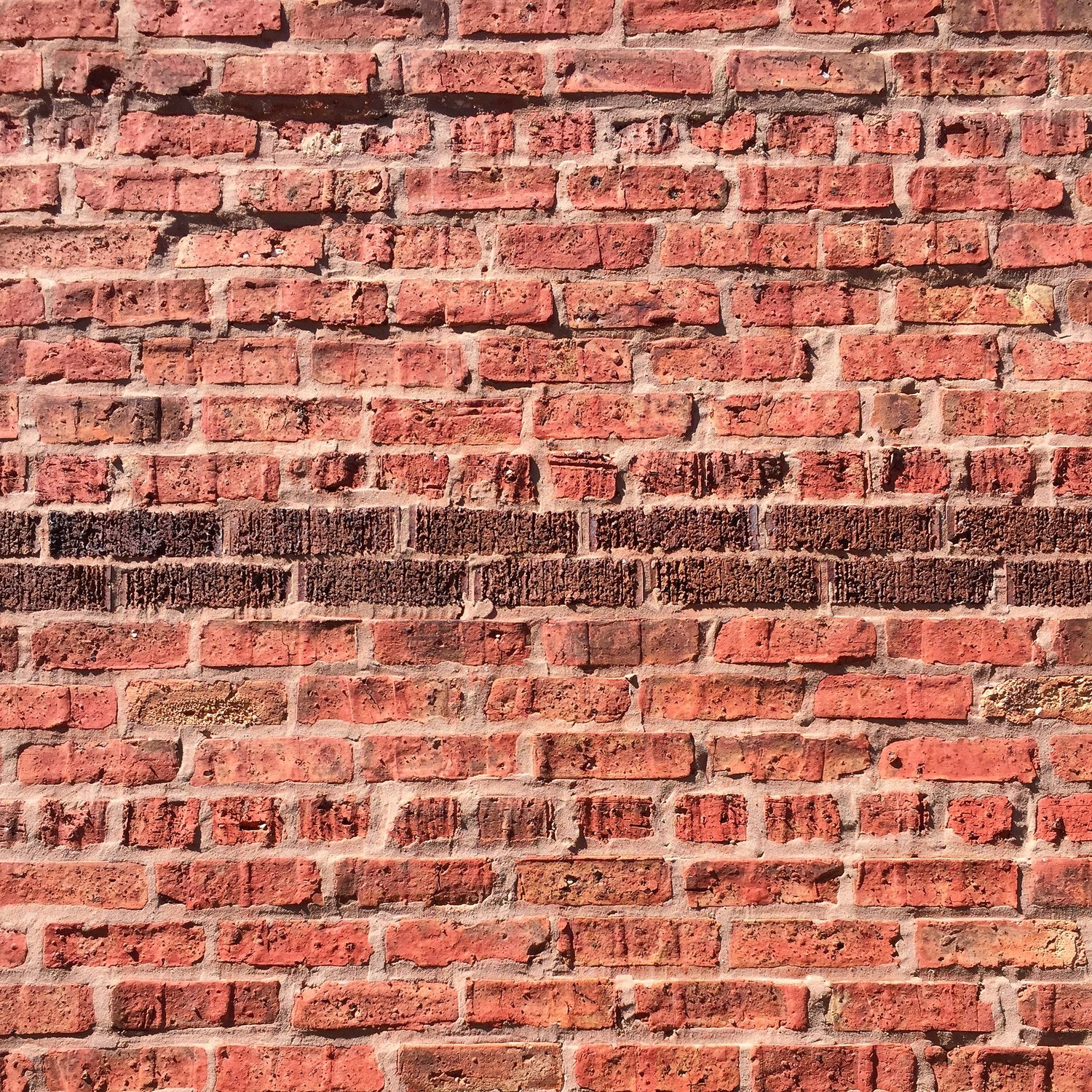 Brick of Chicago — Chicago Common Brick