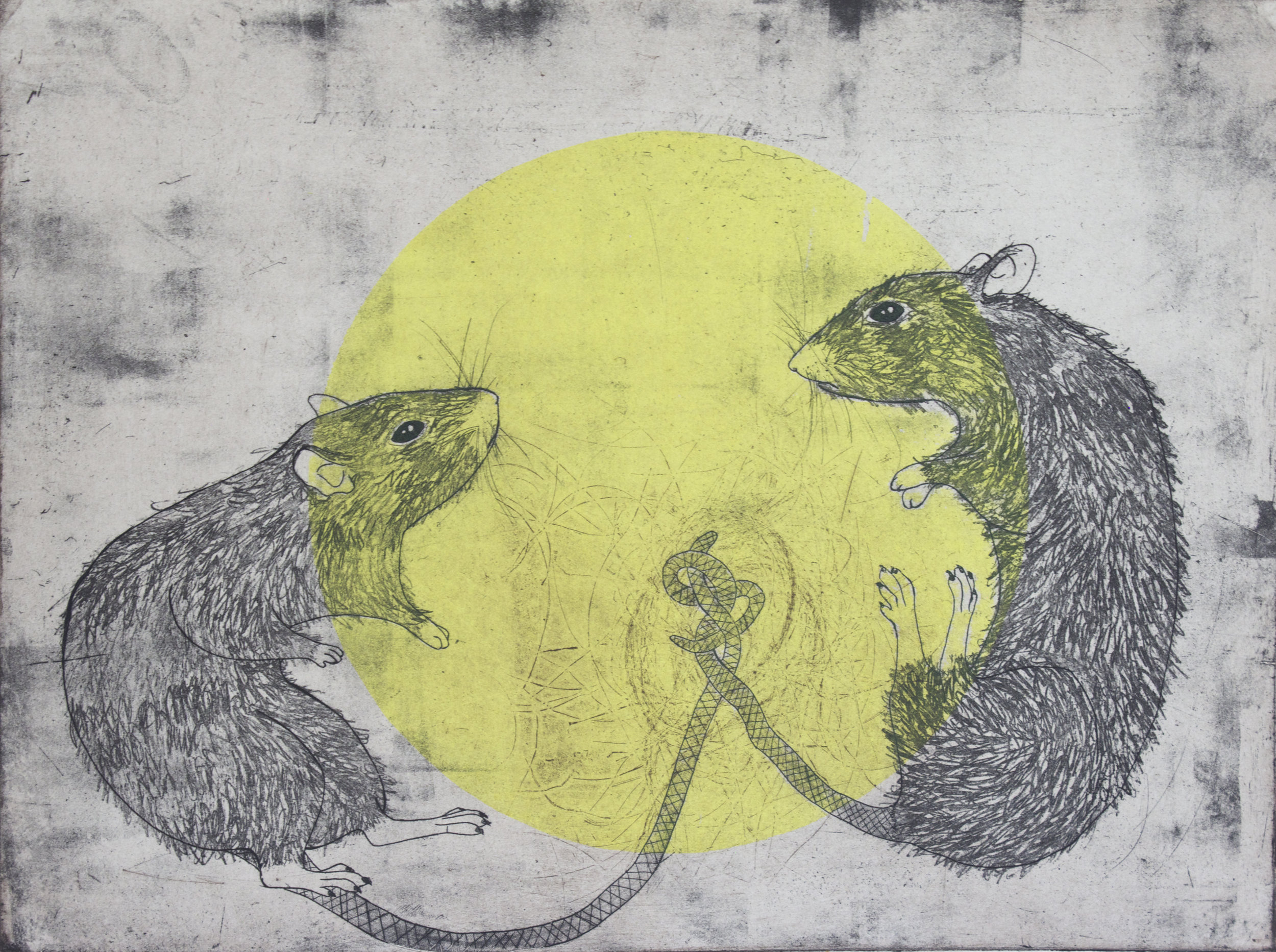Gross Rats