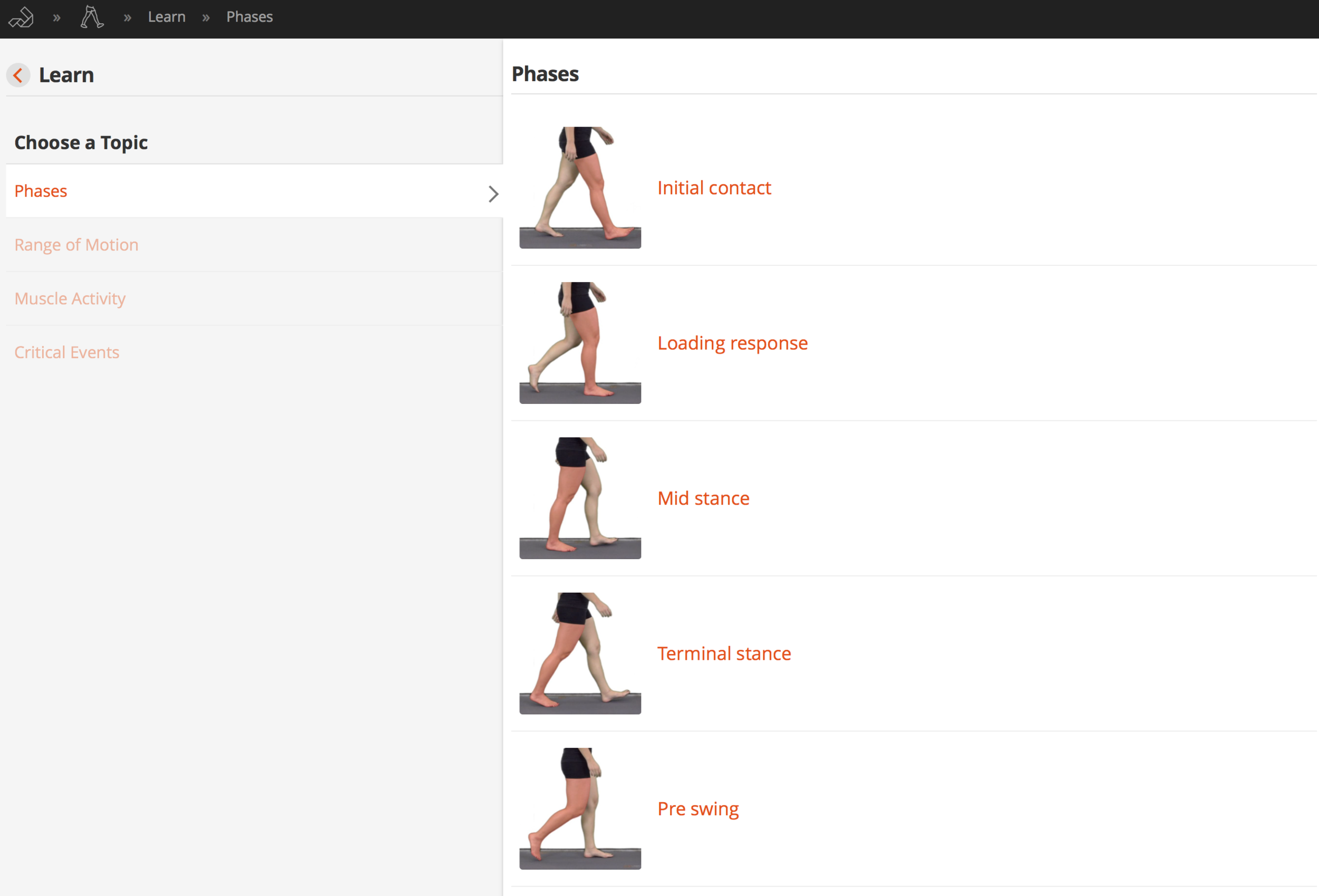 Gait Cycle Muscle Activity