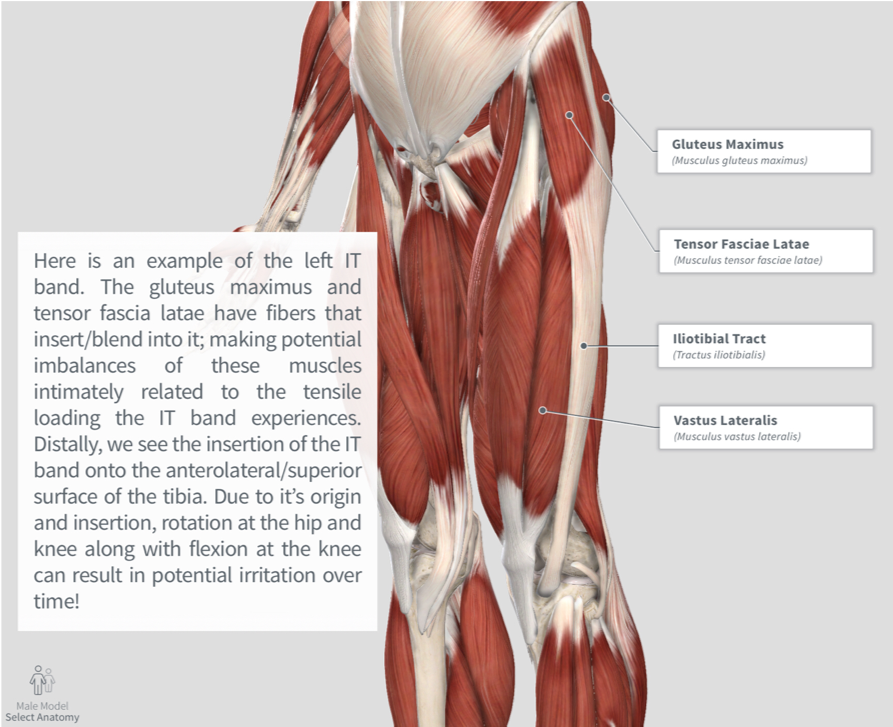 Iliotibial (IT) Band Syndrome | Clinical Pattern Recognition