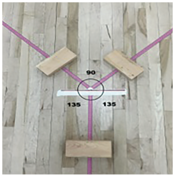 Y Balance Test