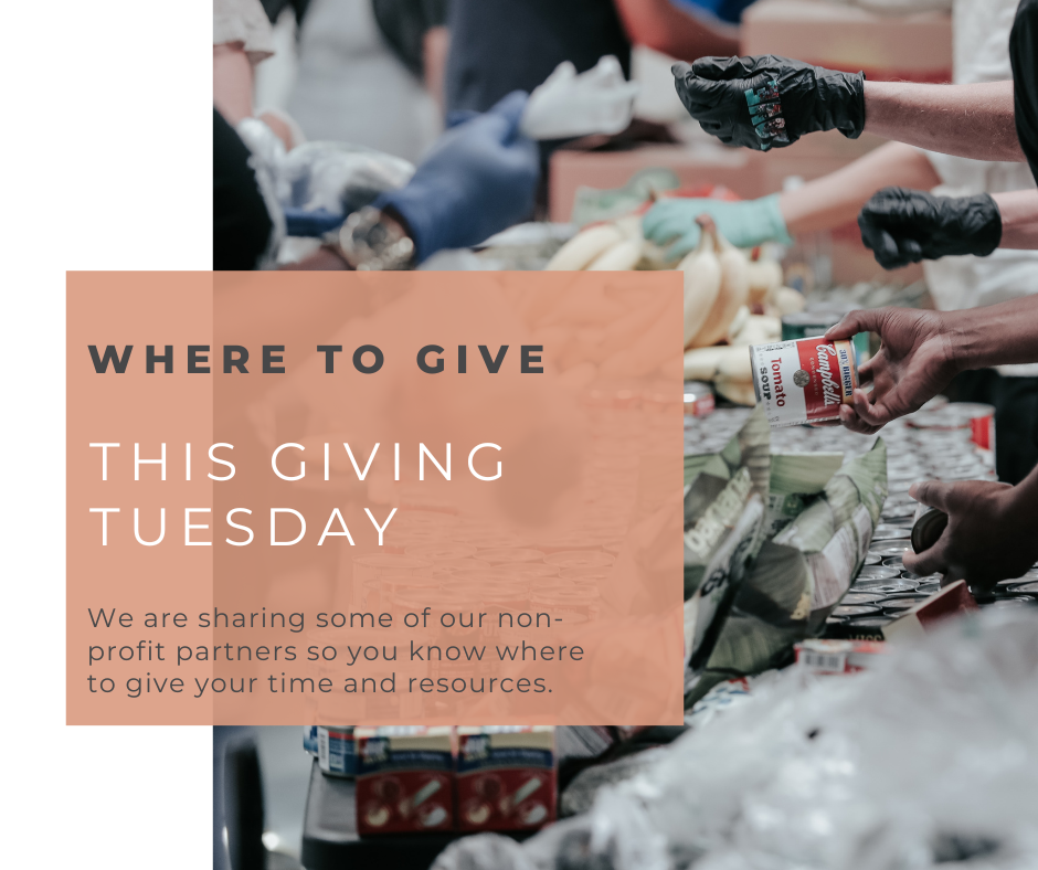 Where to Give this Giving Tuesday — Composed Living