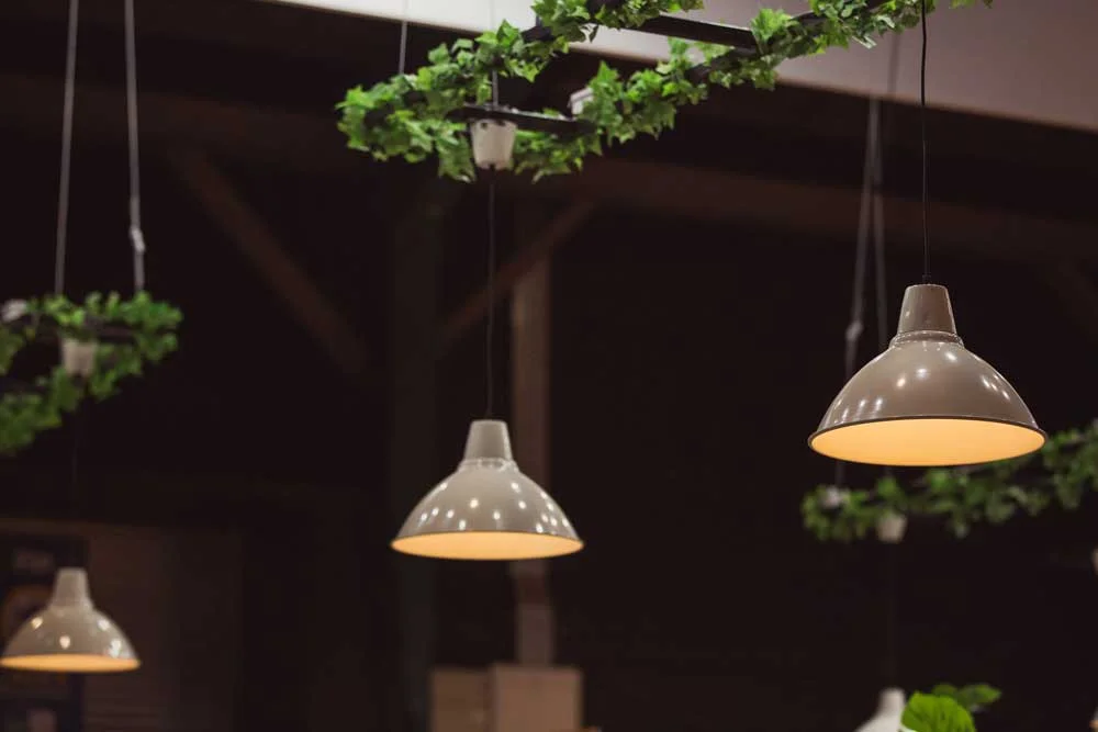 W Display - CATEX 2019