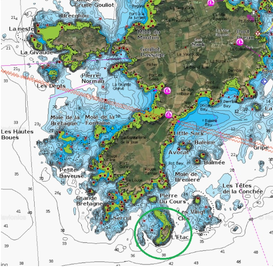 Puffin Spotting In Jersey — Jersey Seafaris | RIB Boat Trips, Tours and ...