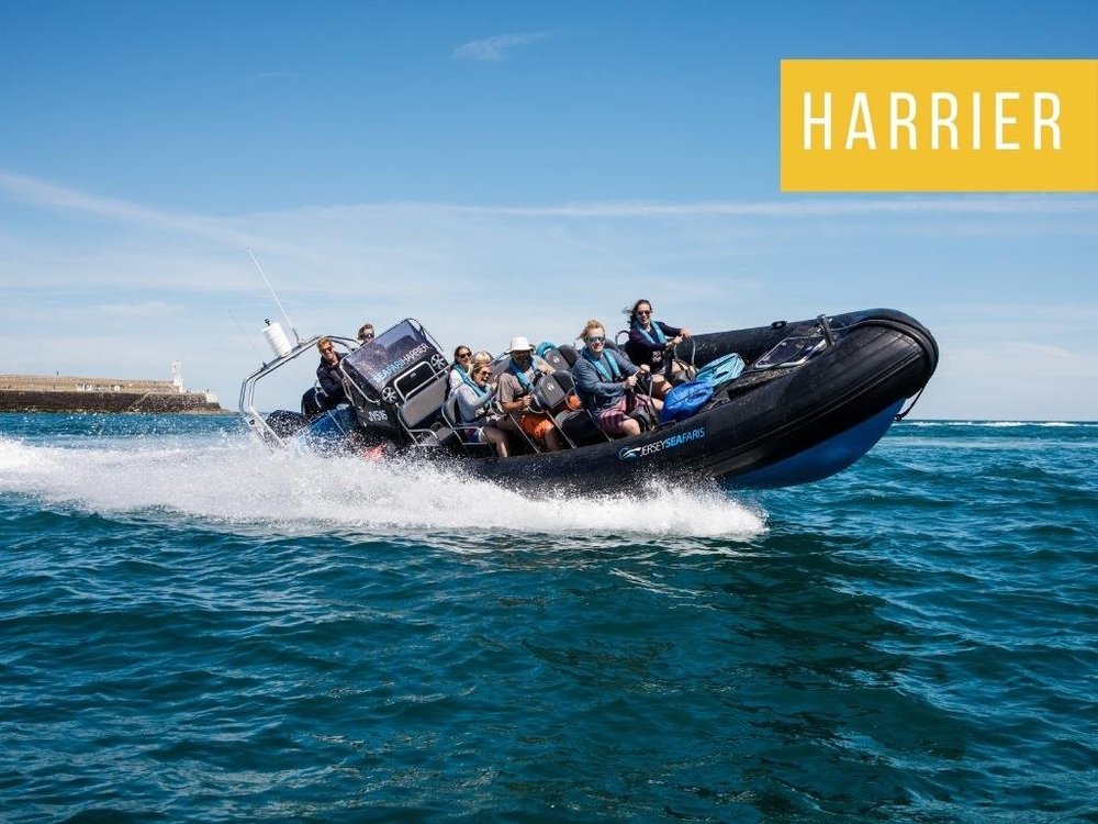 Boats — Jersey Seafaris | RIB Boat Trips, Tours and Charters