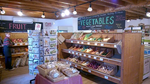 The essential guide to Hayle & Gwithian — Little Birdie Guides Cornwall
