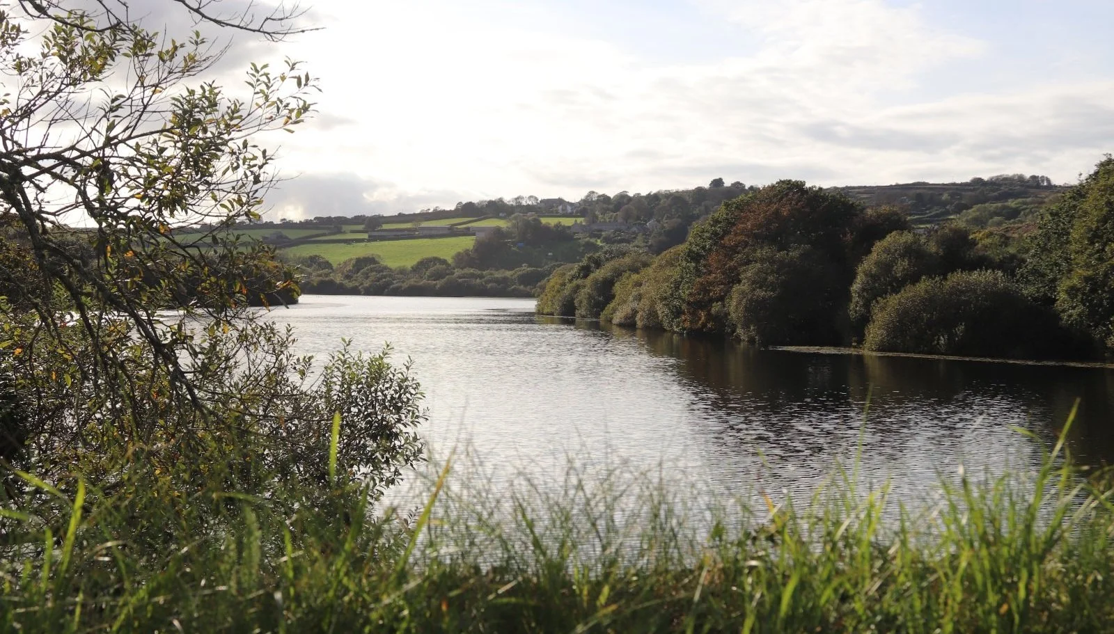 The essential guide to Penryn — Little Birdie Guides Cornwall