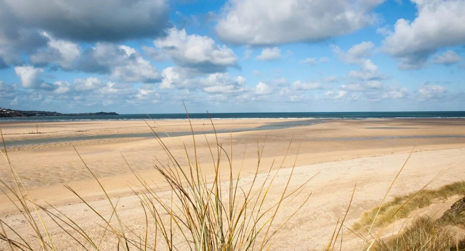 The essential guide to Hayle & Gwithian — Little Birdie Guides Cornwall