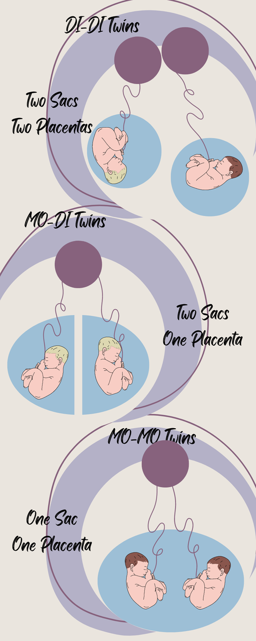 Twin Types — High Country Doulas