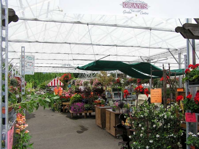 Nursery and Flower Shop | Springfield OR — Grays Gardens