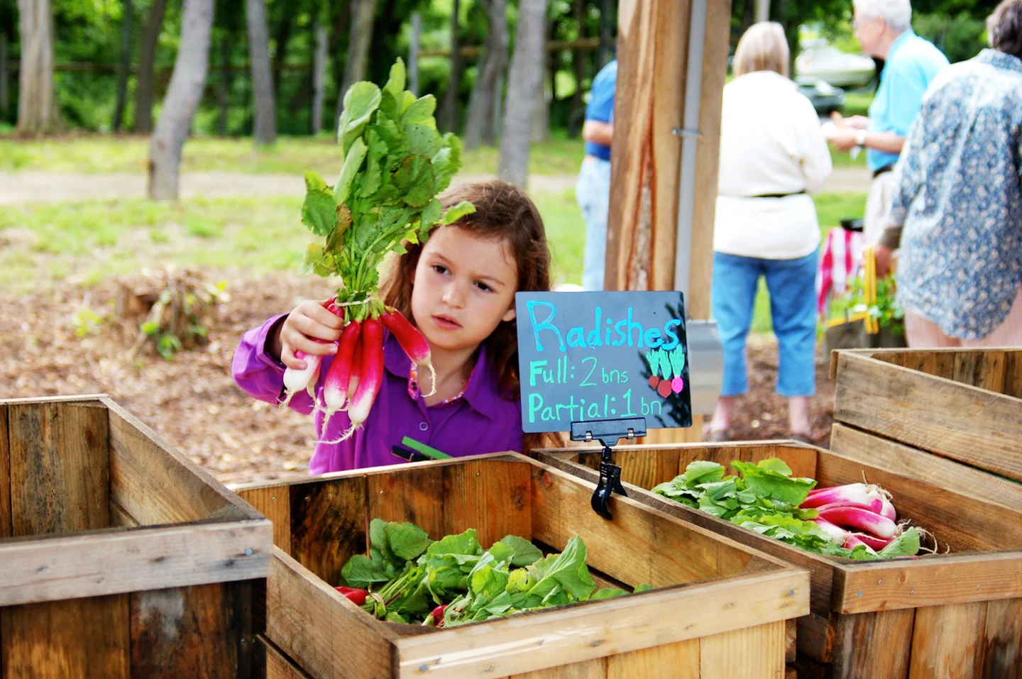 Our Farmstand — Sylvester Manor