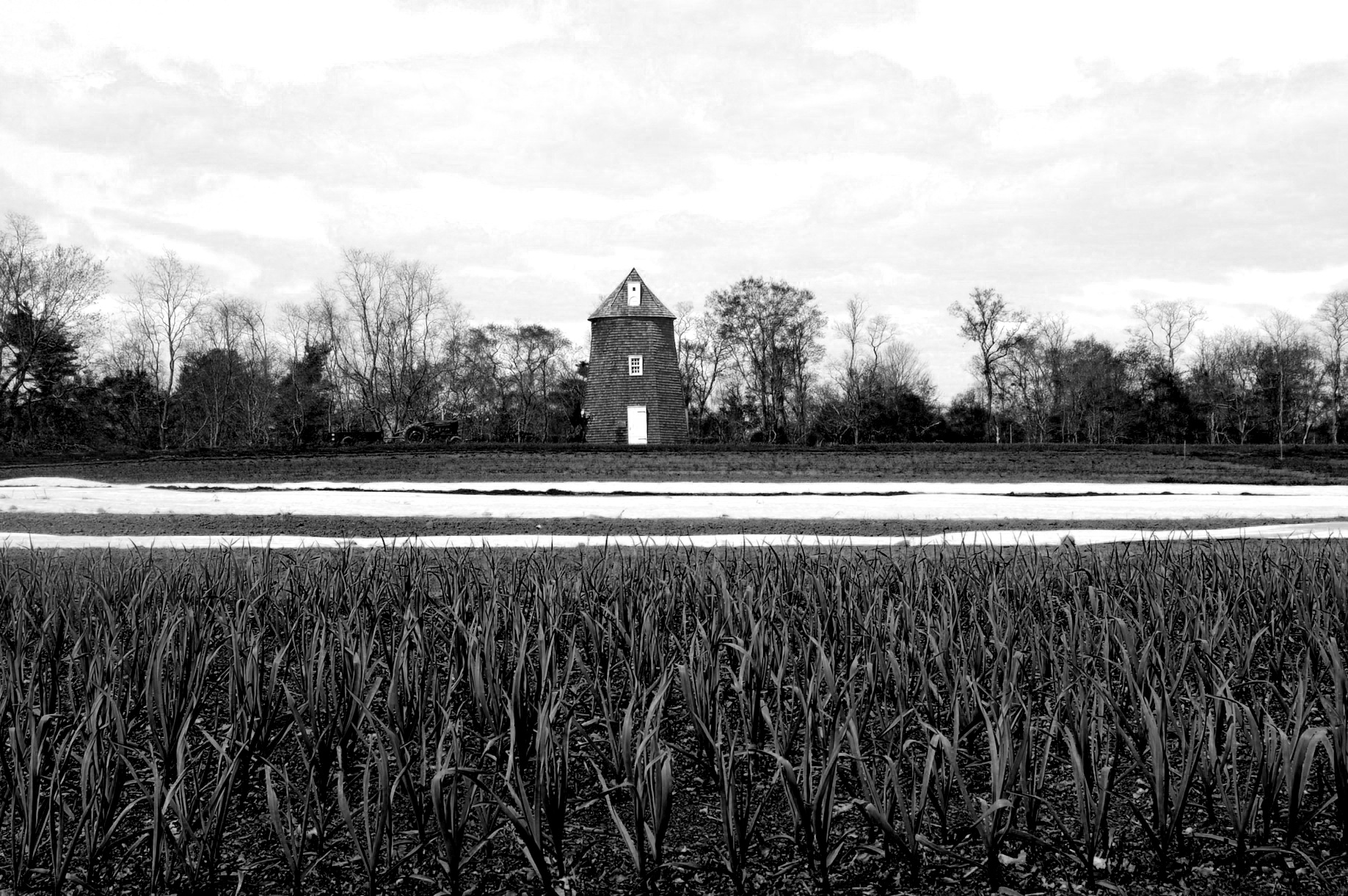 The Windmill — Sylvester Manor