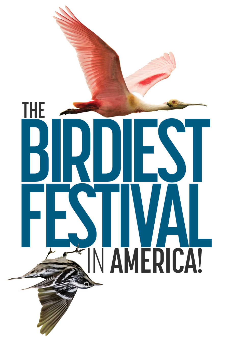 Upcoming Birding Festivals & Events — Coastal Bend Audubon Society
