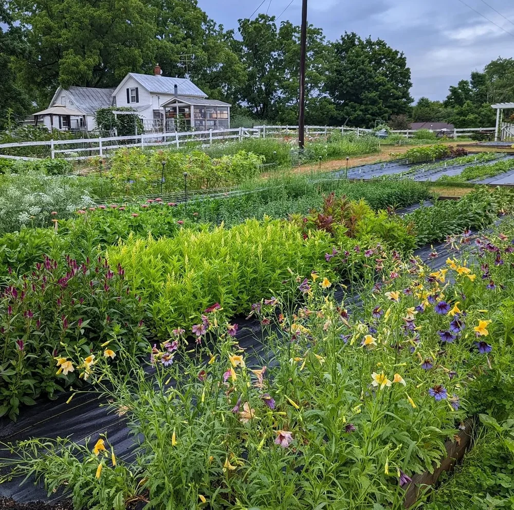 Farm Events — Three Acre Farm