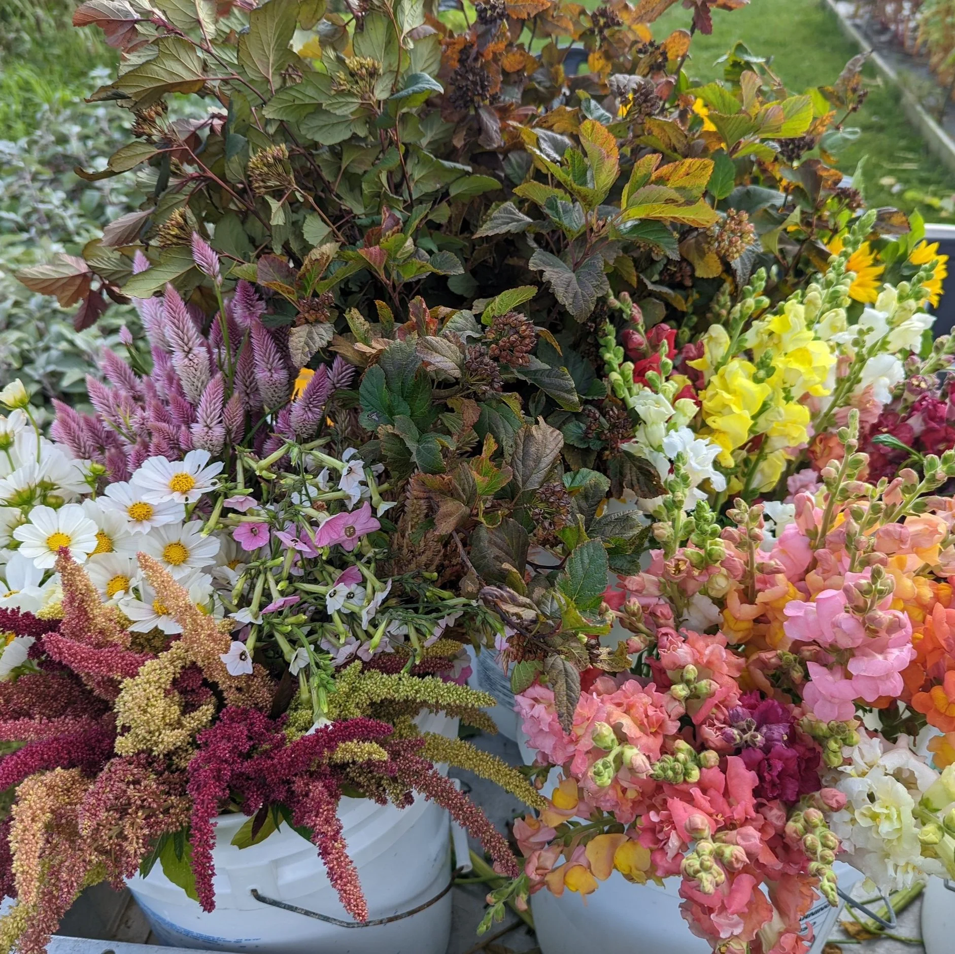 The 3 Secret Ingredients for Stunning Bouquets — Three Acre Farm