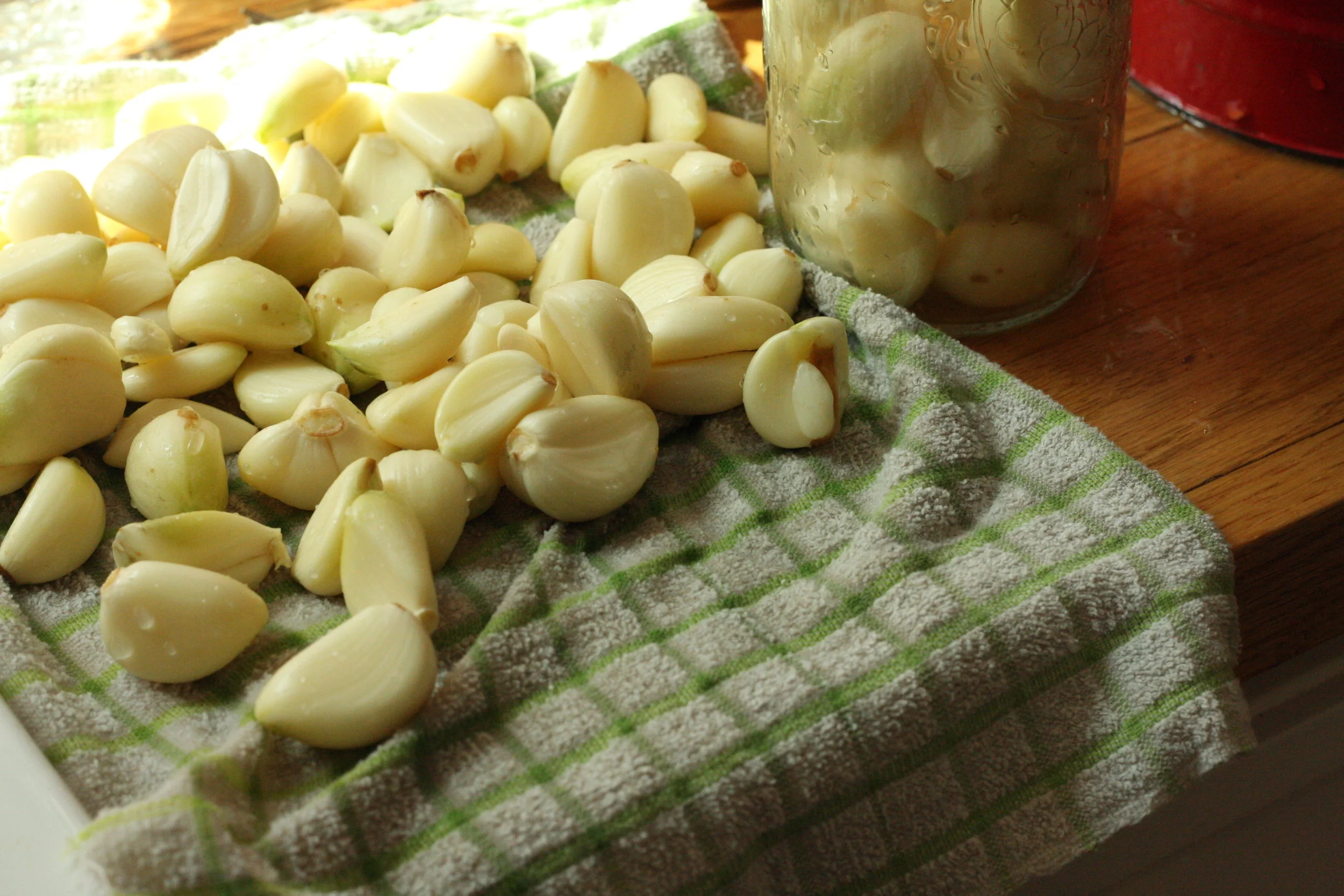 How to Preserve Garlic: A Fast, Easy Method! — Three Acre Farm