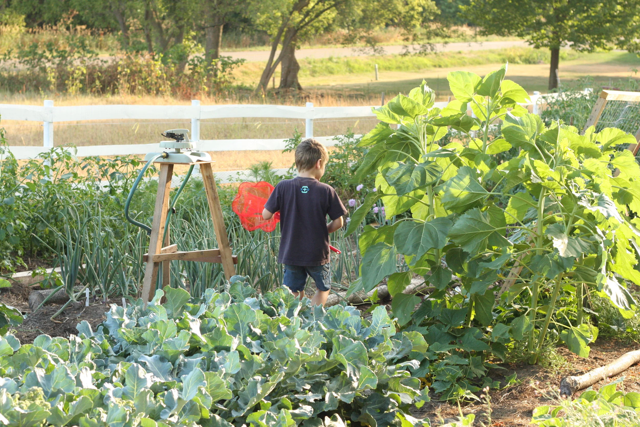 How to Create a Sensory Garden! — Three Acre Farm
