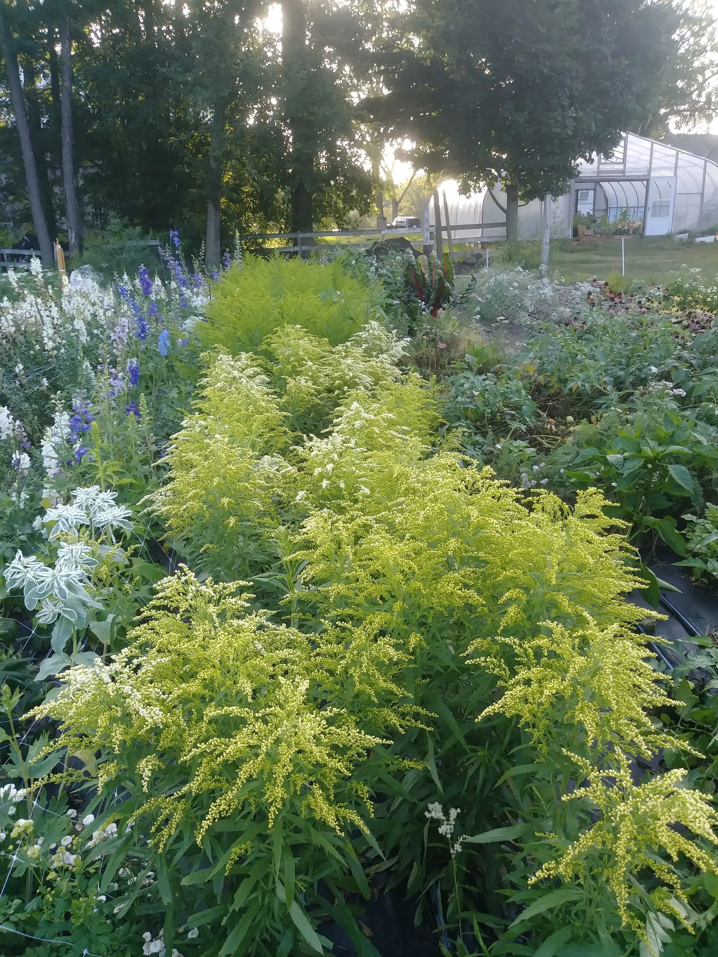 How to Create a New Growing Area — Three Acre Farm
