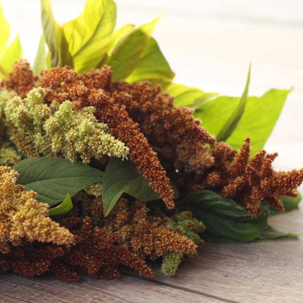 Seeds — Three Acre Farm