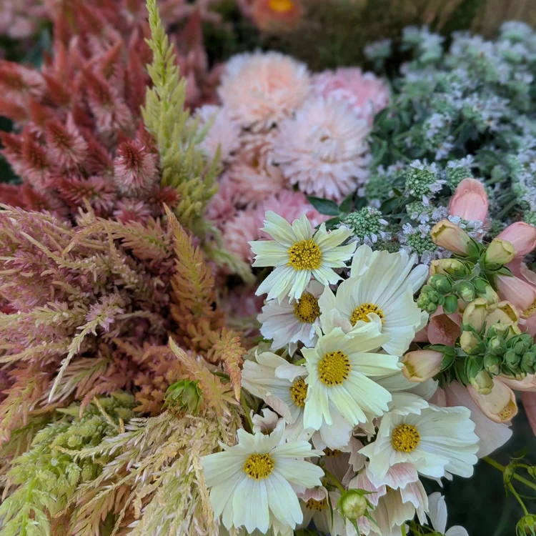 DIY Bulk Flower Buckets — Three Acre Farm