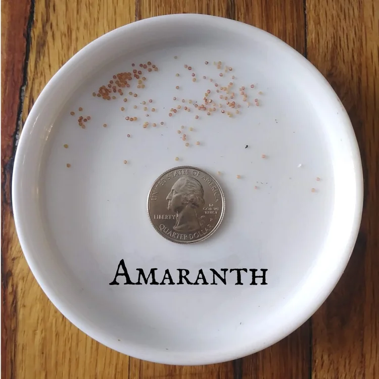 How to Grow: Amaranth — Three Acre Farm