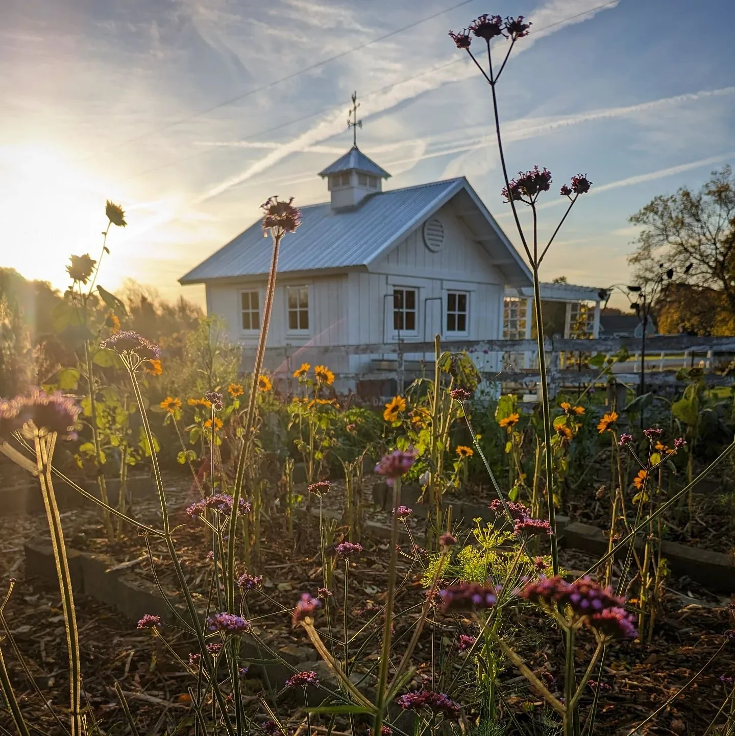 Flower House — Three Acre Farm