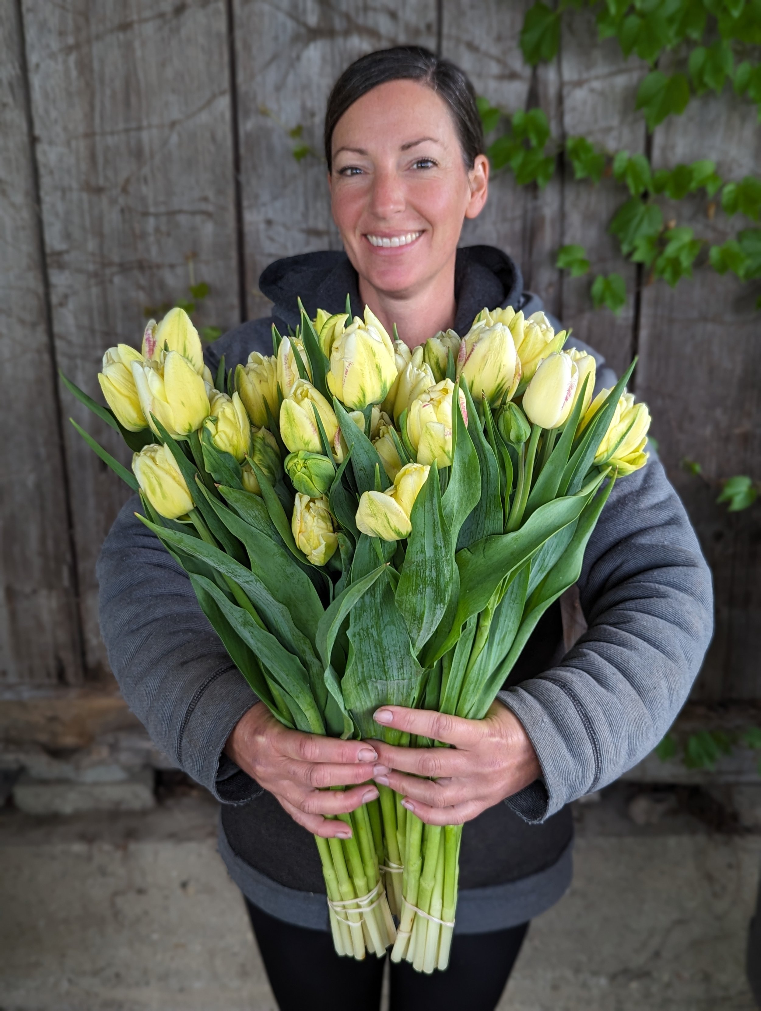 How to Grow Tulips as a Cut Flower — Three Acre Farm