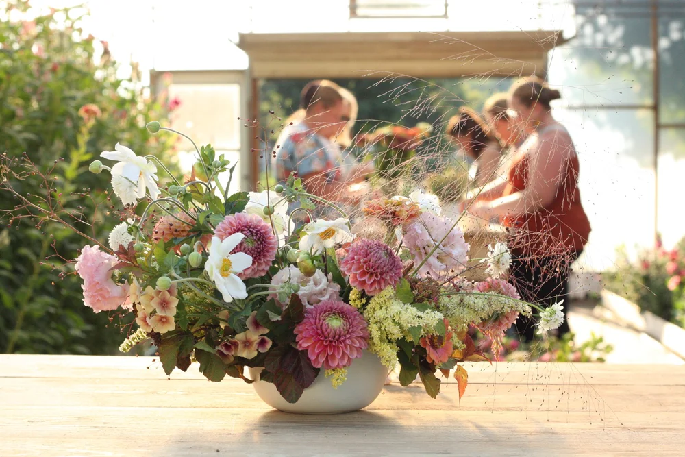 How to Grow Frosted Explosion Grass — Three Acre Farm