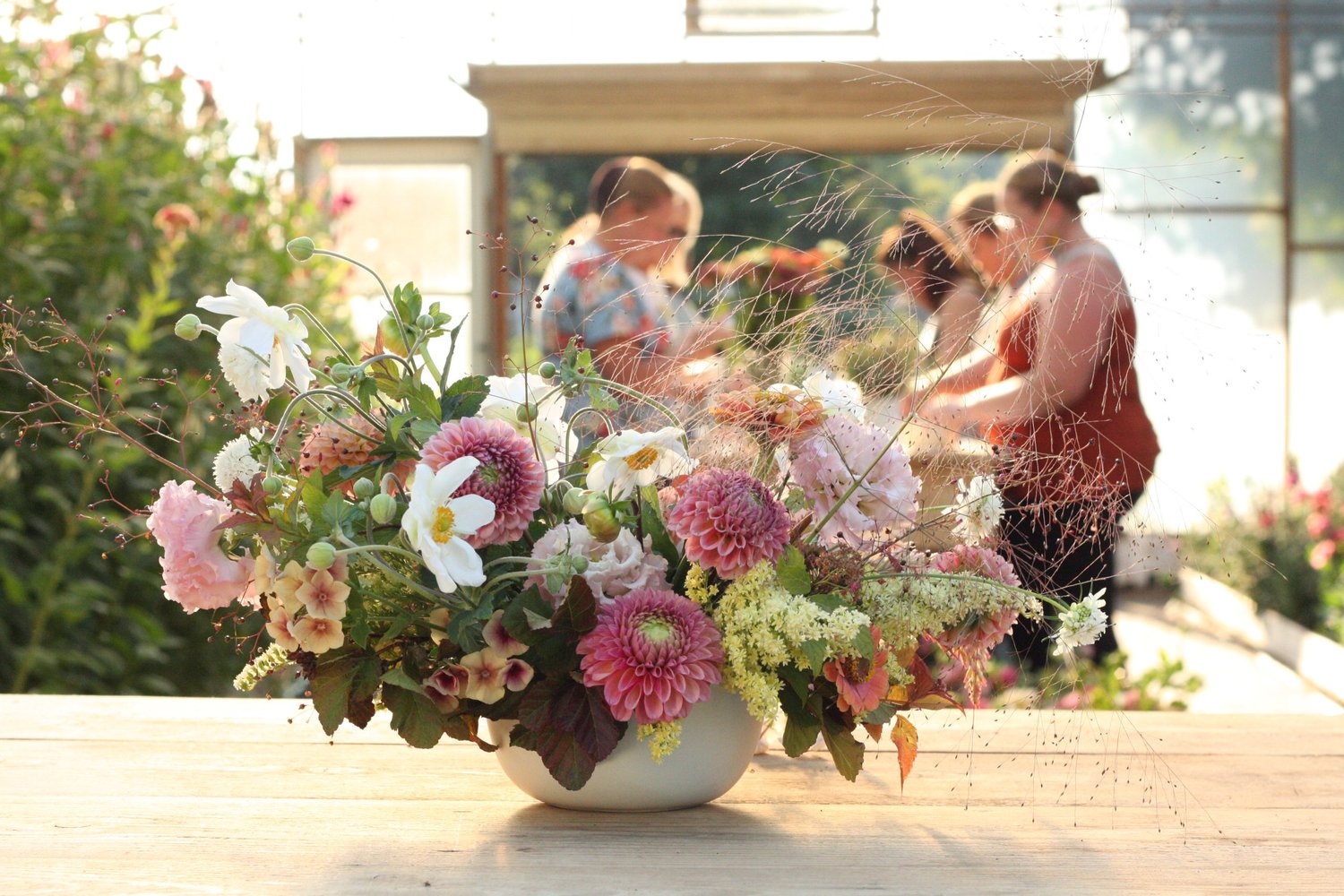 How to Grow Frosted Explosion Grass — Three Acre Farm