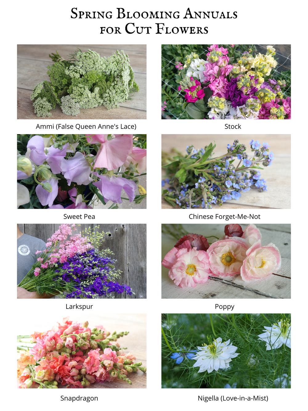 Bloom Time Chart — Three Acre Farm