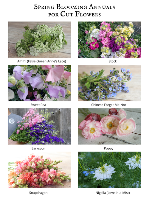 Bloom Time Chart — Three Acre Farm