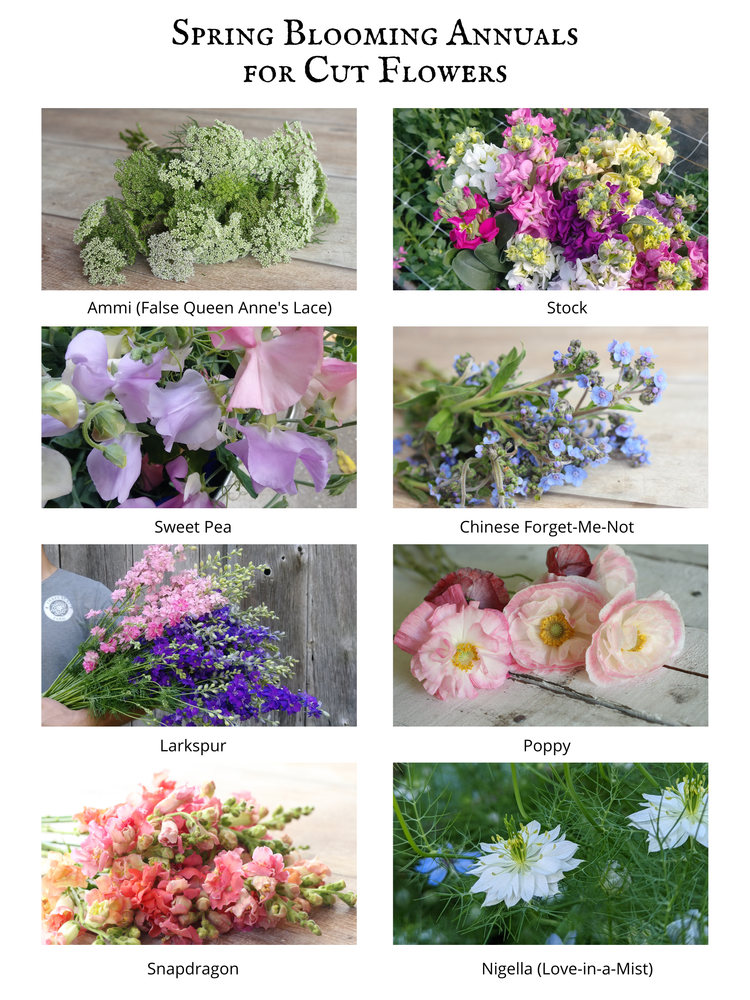 Bloom Time Chart — Three Acre Farm