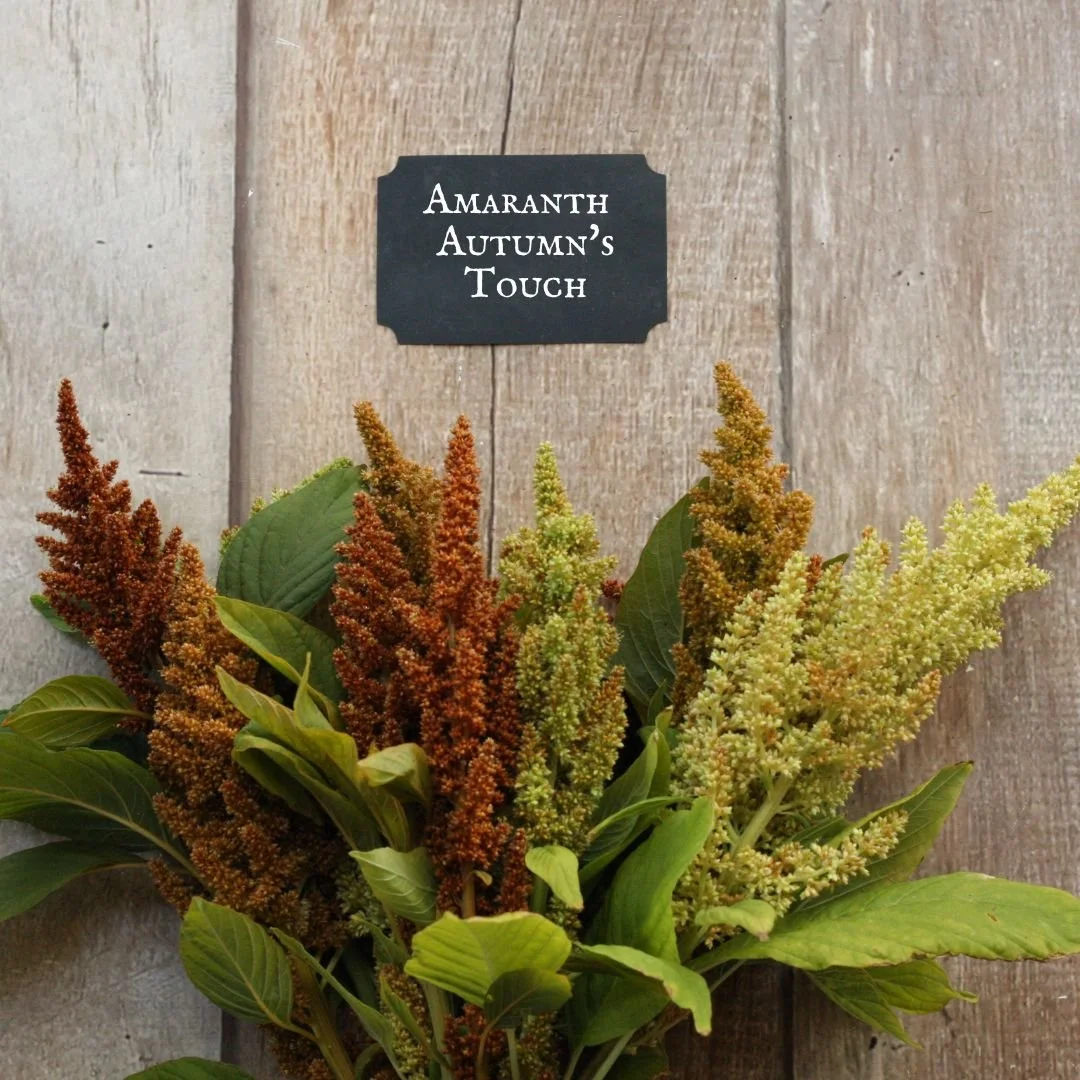 Seeds — Three Acre Farm