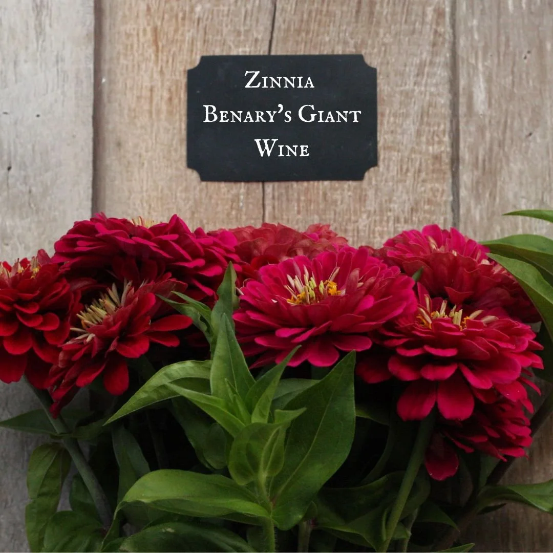 Seeds — Three Acre Farm