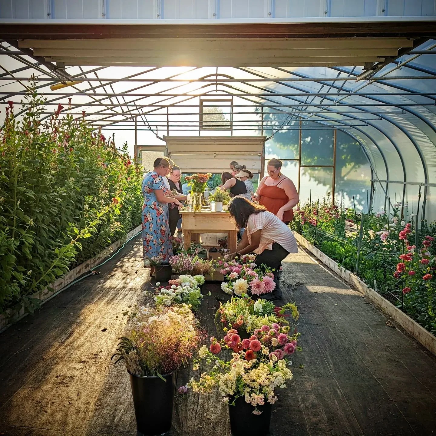 Three Acre Farm