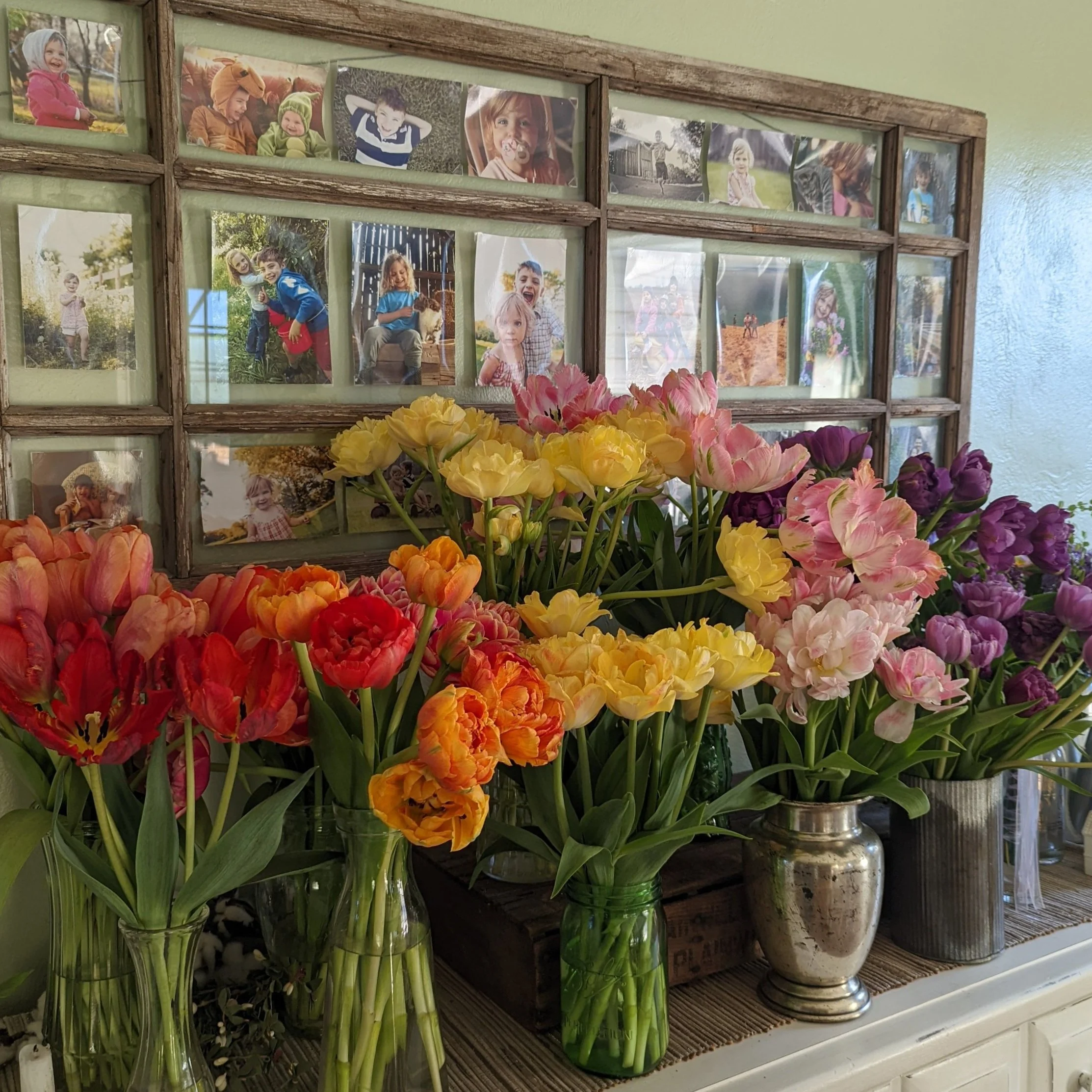 How to Grow Tulips as a Cut Flower — Three Acre Farm