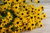 5 Perfect Perennials for Cut Flower Arrangements — Three Acre Farm