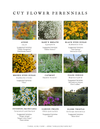 Best Perennials for the Cut Flower Garden — Three Acre Farm