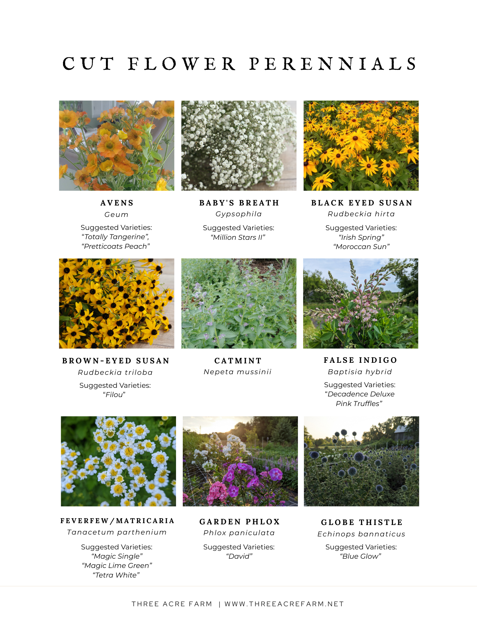 Best Perennials for the Cut Flower Garden — Three Acre Farm