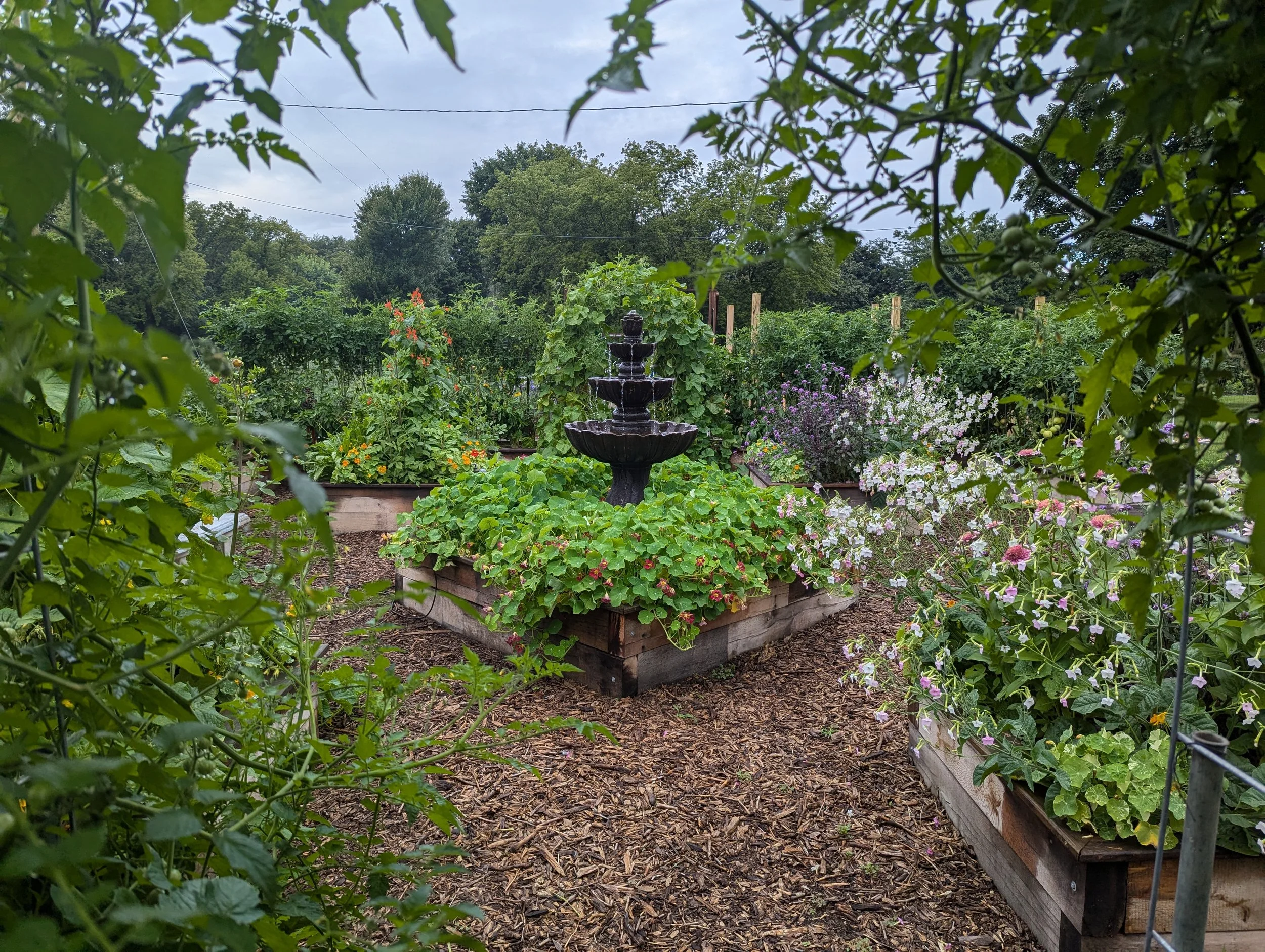 2024 Potager Garden Report — Three Acre Farm