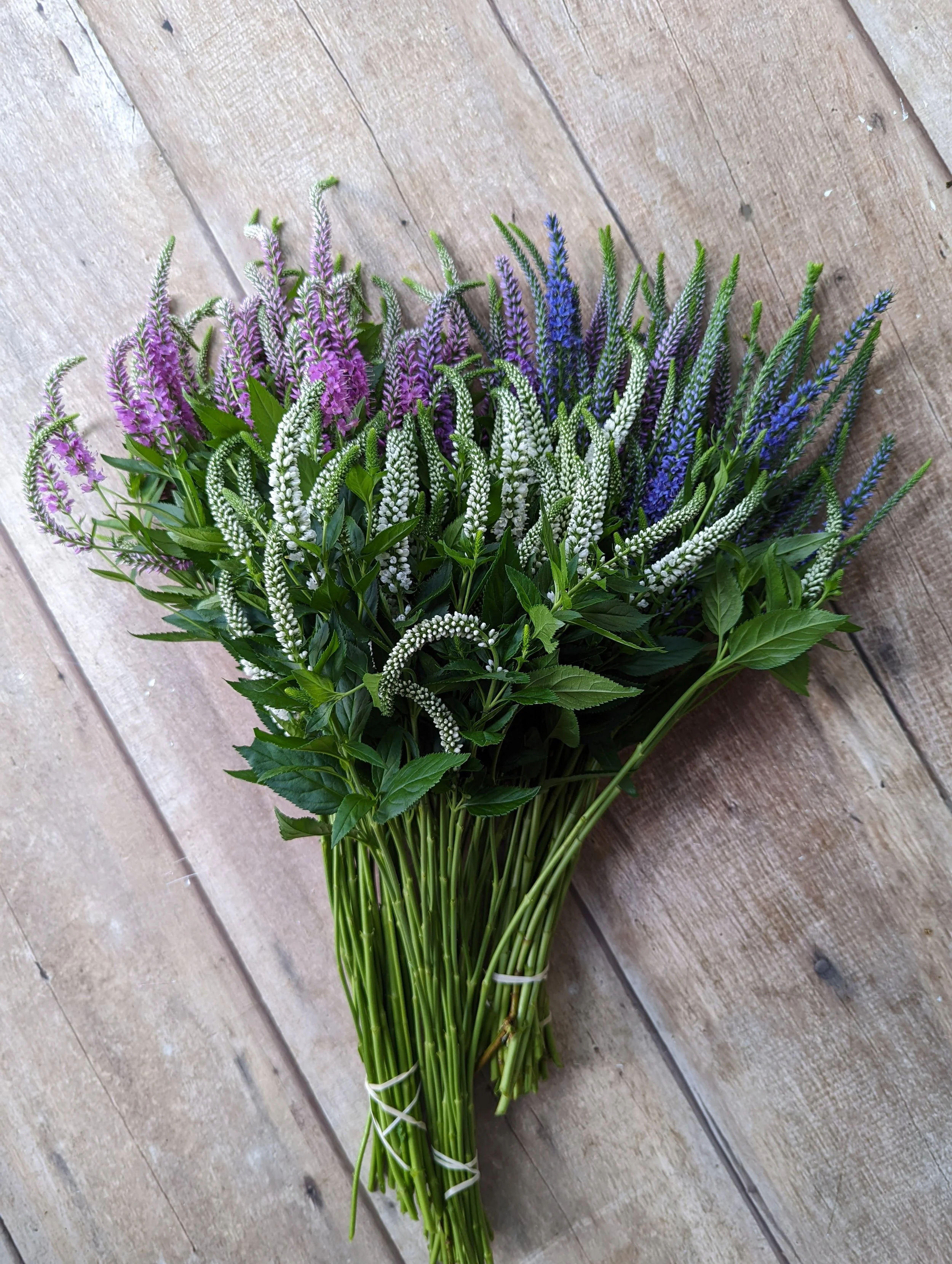 5 Perfect Perennials for Cut Flower Arrangements — Three Acre Farm