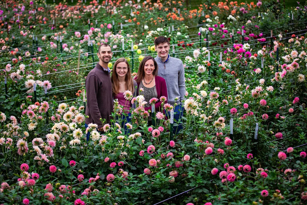 Beginner's Guide to Growing Dahlias — Three Acre Farm