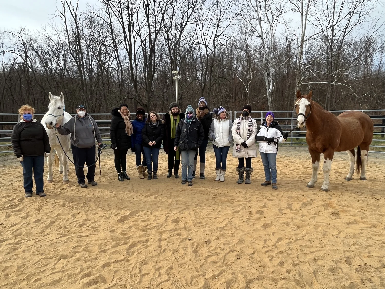 Project Horse Empowerment Center