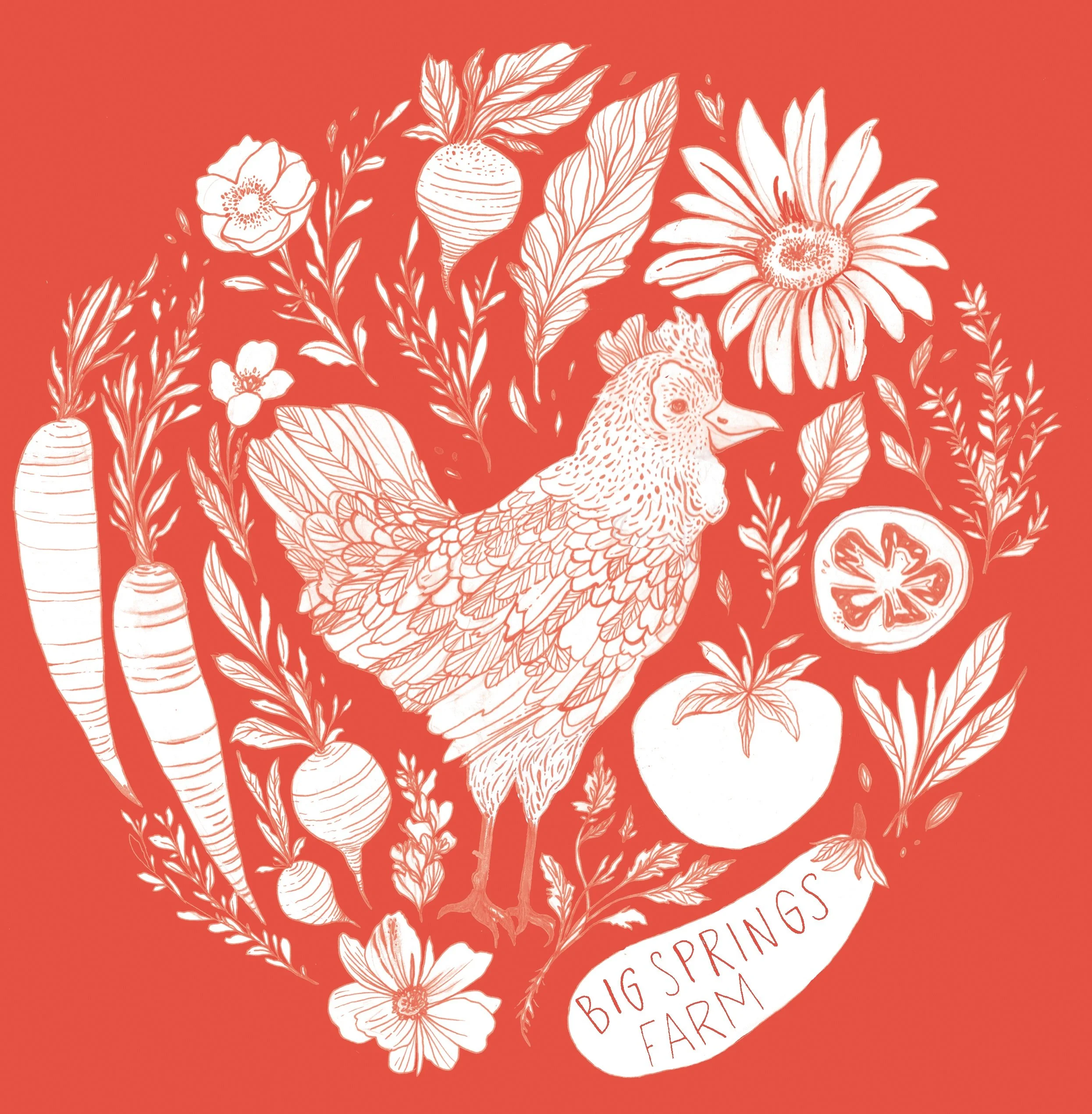 Illustration — Emily Elizabeth Miller