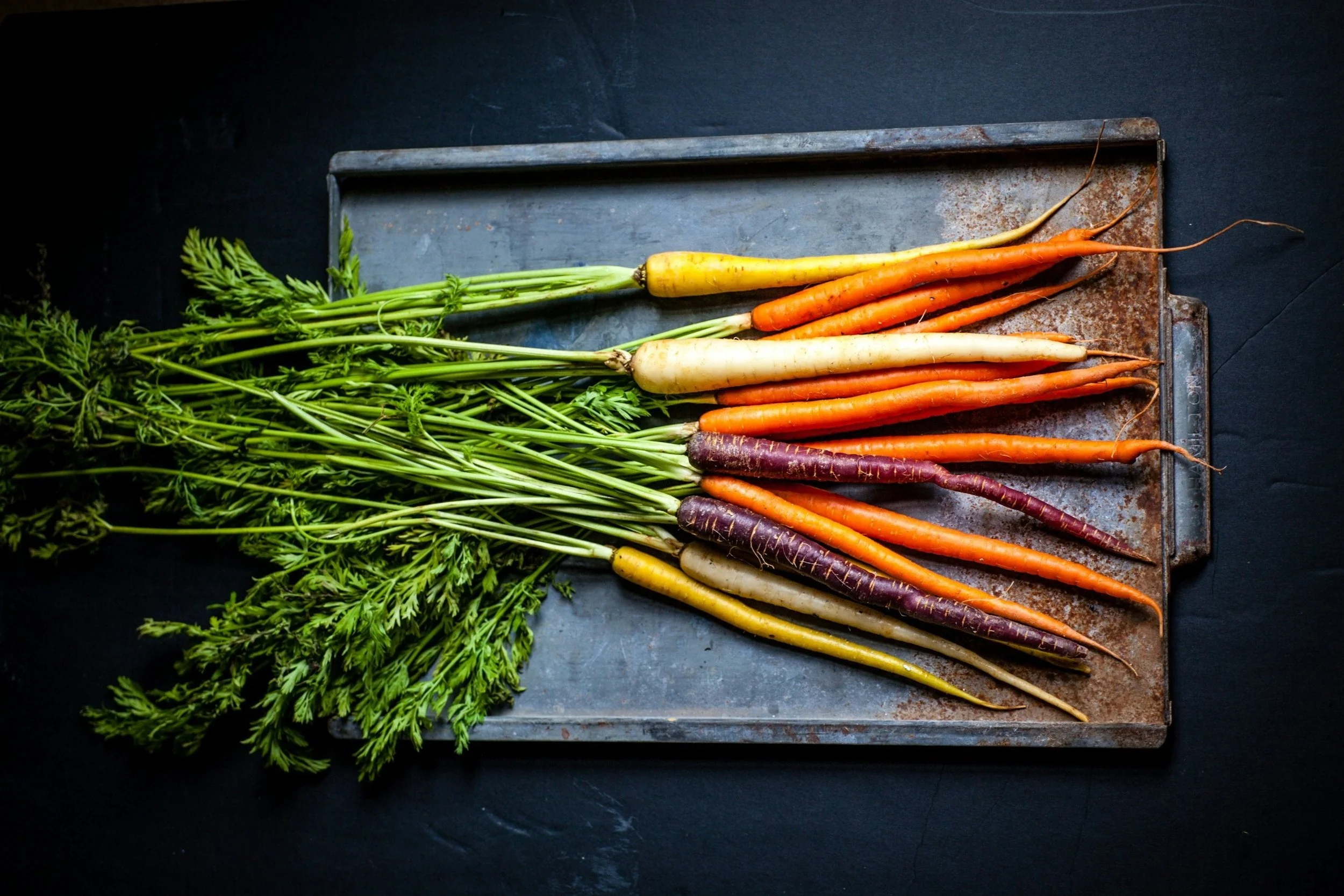 pam hemmerling — may '24 favorites